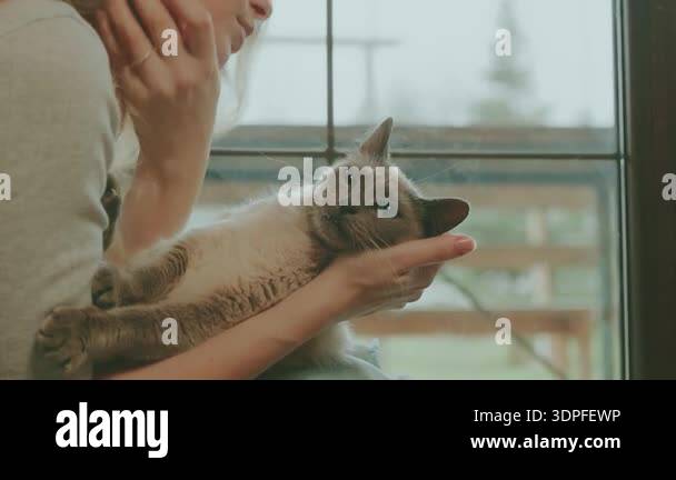 woman hugging holding stroking dissatisfied irritated angry aggressive ...