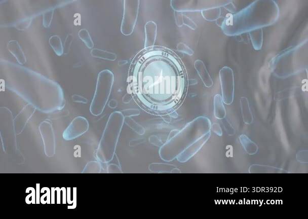 Animation of bacteria cells and clock moving over liquid background ...