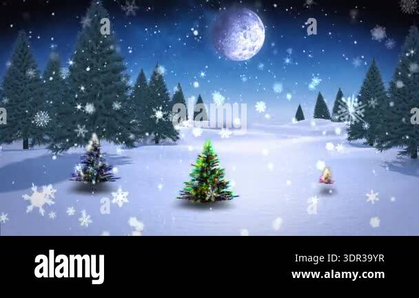 Animation of snow falling over christmas trees. christmas, winter ...