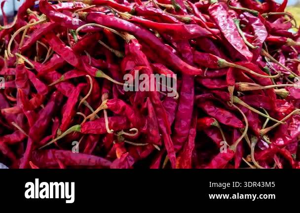A large pile of dried red chili peppers fills the frame, showing their ...