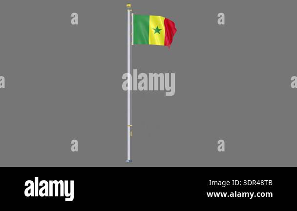 Senegal Animated flag, High quality realistic 3D Video render which ...