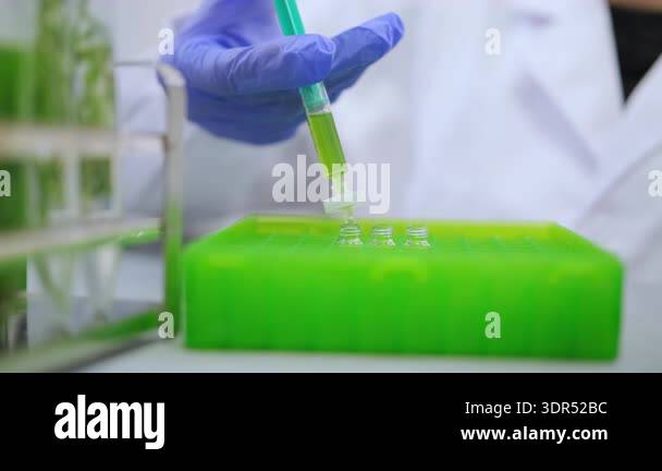 Close up of filtering plant extract through disposable syringe filter ...