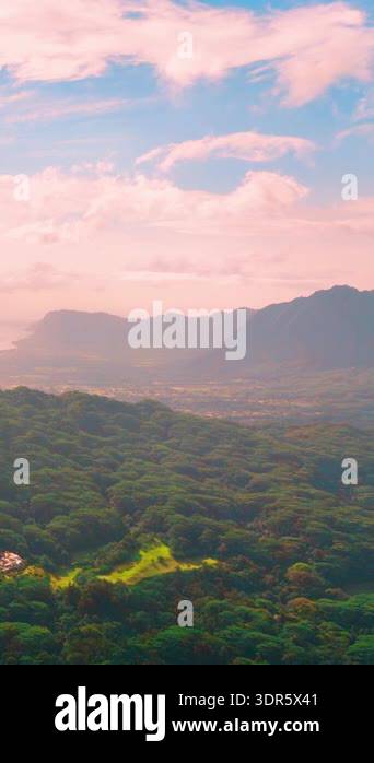 Wide aerial shot of a dense green forest valley with distant mountains ...