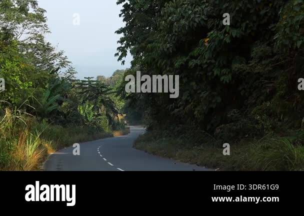 A narrow curved asphalt road winds gently through dense tropical ...