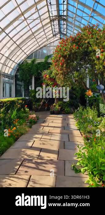 Stone walkway through tropical flora inside glass conservatory. Wide ...