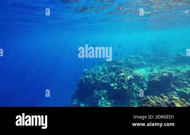 Underwater view of coral reef slope with tropical fish and sun rays in ...