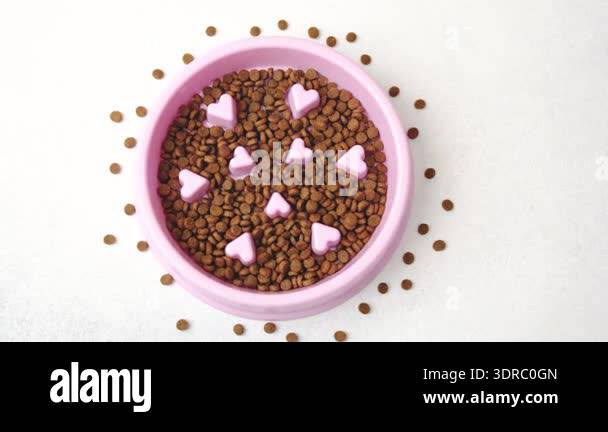 Pink bowl with dog food and heart shapes on white background Stock ...