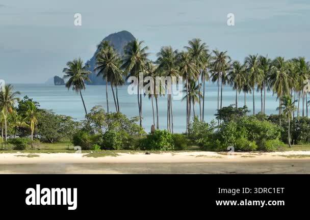 Tropical beach with palm trees, sandy shore, calm sea and a distant ...