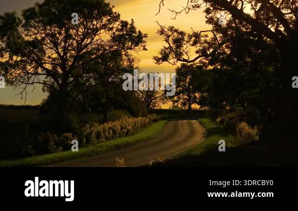 Serene countryside road winding between trees glowing under golden ...
