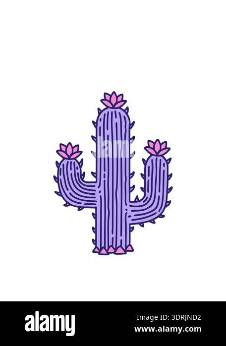stretching up animation of cactus illustration Stock Video Footage - Alamy