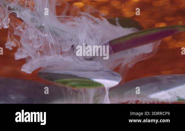 Defocused fume drop. Succulent blob. White ink spill on green plant ...
