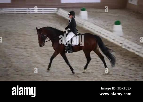Professional female rider training horse in indoor arena. Dynamic ...