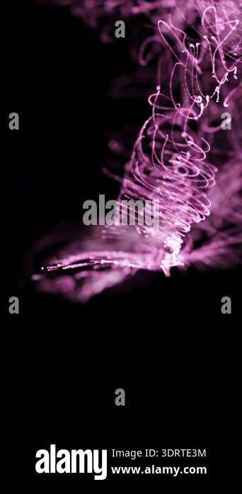 Animation of pink trails on black background. social media and ...