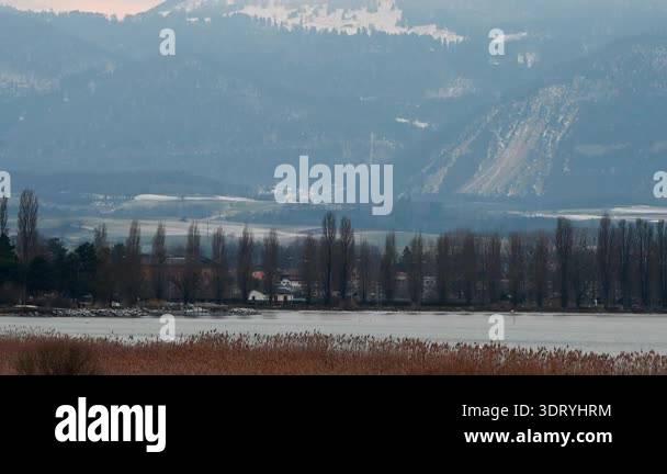 Real time Landscape of Frozen Wetland, Golden Reed Along Lake Neuchtel ...
