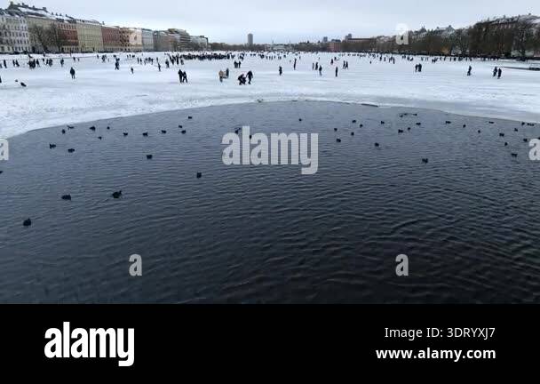 A view of a large lake in the middle of the city in winter. Many ducks ...