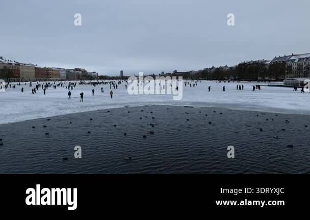 A view of a large lake in the middle of the city in winter. Many ducks ...