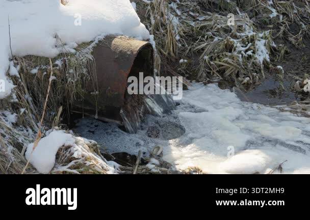 White foam accumulates on water surface near metal drainage pipe ...