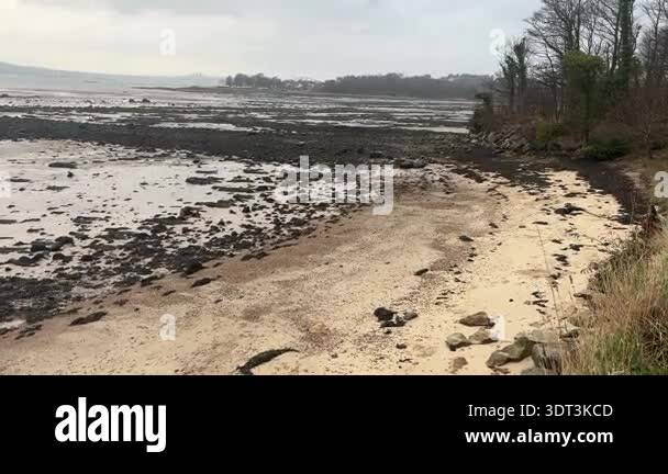 Rugged rocky coastline surrounding Braefoot Bay on Fife coast Scotland ...