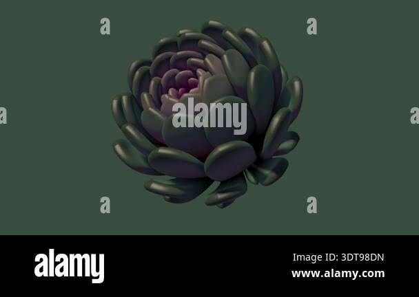 Rotating 3D stylized succulent plant animation with dark green and ...