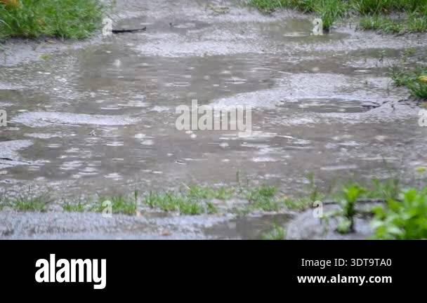 Rain. Rain dripping. Drops of heavy rain dripping on dirt ground with ...