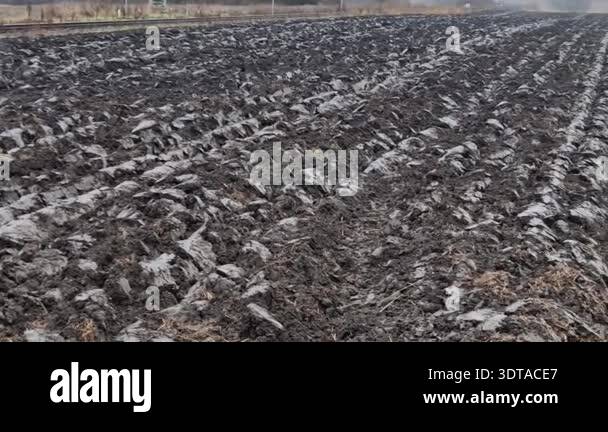 plowed field, probably with black soil type. This soil is characterized ...