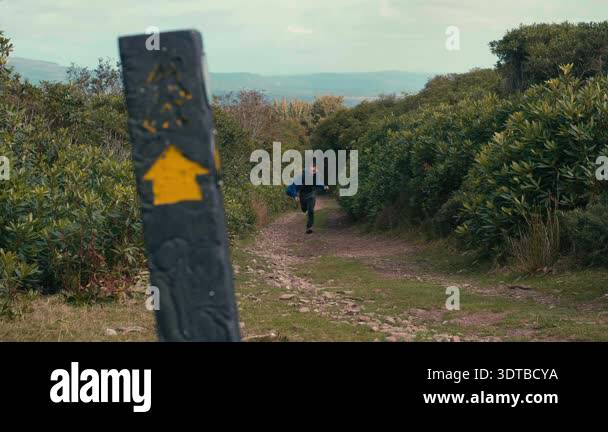 Active Trail Runner Jogging Along a Scenic Mountain Path with a ...