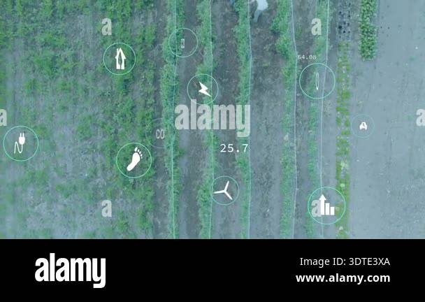 Farm technicians walking field furrows and updating live crop metrics ...