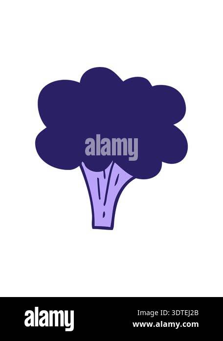 attention grabbing animation of cartoon doodle broccoli stalk Stock ...