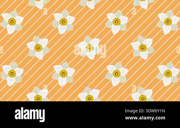 Floral Animated Background. Moving Pattern with White Daffodil Flowers ...