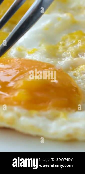 Pick up omelette fork on Stock Videos & Footage - HD and 4K Video Clips ...