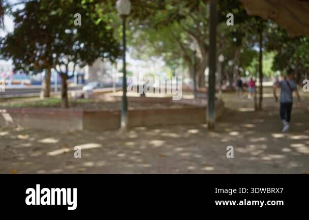 Defocused outdoor park scene with blurred people walking along tree ...