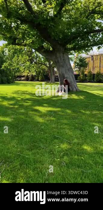 Woman sitting under shade of big tree on green lawn. Person sitting on ...
