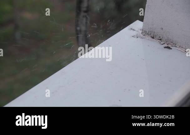 Heavy rain drops fall and splash onto a white outdoor window sill ...