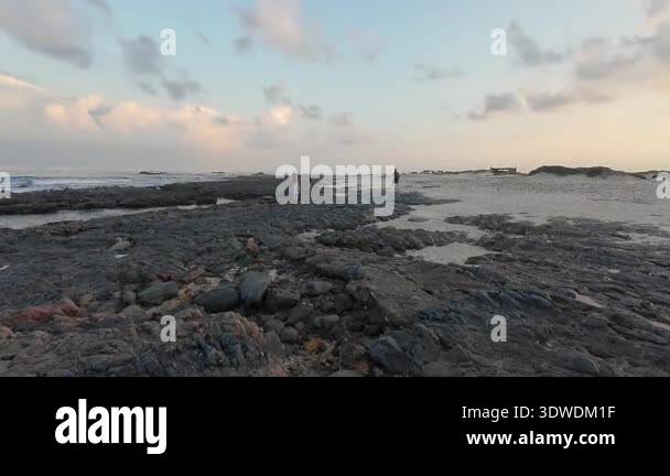 Rocky coastal shoreline at low tide with tide pools, distant walkers ...