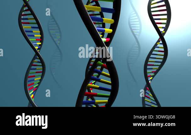 Rotating 3D DNA double helix animation with colorful base pairs for ...