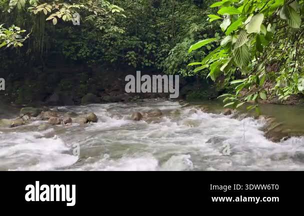 Tropical river stream with fresh water flowing over rocks in dense ...