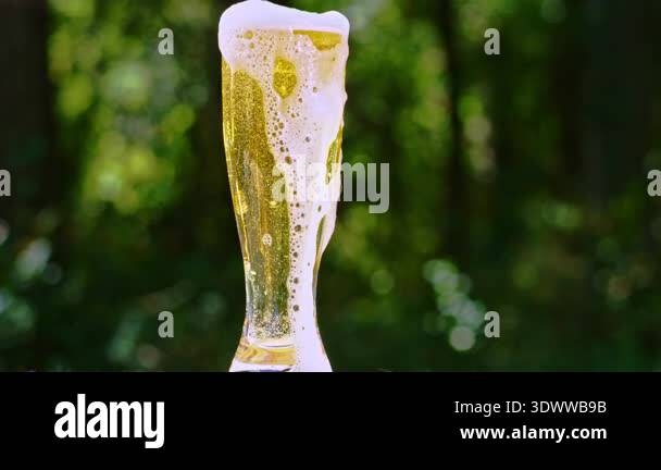 Beer pours slowly creating thick foam. Beer pour in glass sparkles with ...