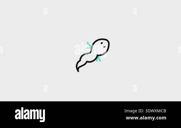 Tadpole Animated Icon Professional animated icon designed for modern ...