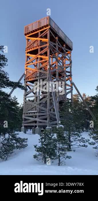 Wooden observation tower in snowy pine forest at golden hour in Finland ...