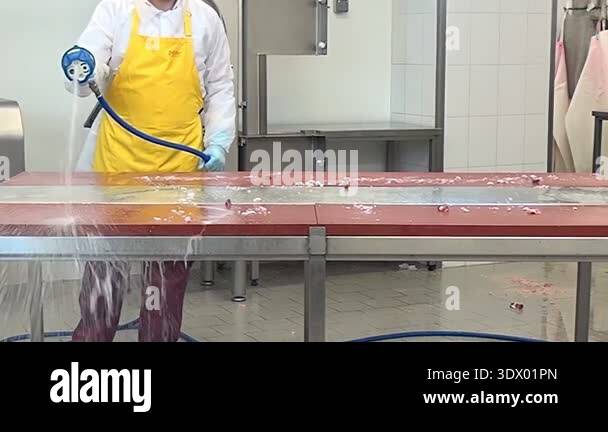 At a meatpacking plant, a worker wearing a yellow apron and blue gloves ...
