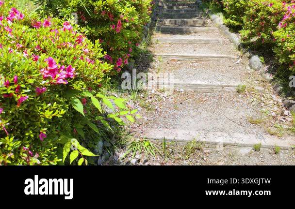 Gently sloping stone steps on a walking path in a quiet park with ...