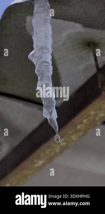 Close-up of a single icicle melting and dripping water in slow motion ...