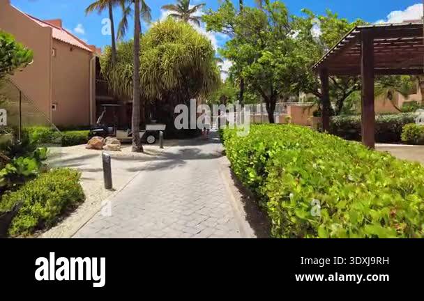 Beautiful view of resort pathway with tropical plants, palm trees and ...
