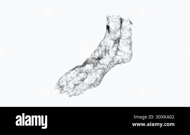 Abstract Foot Anatomy on Light Background, Animated Dark Monochrome ...