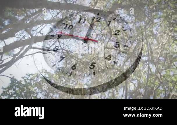 Clock face fading in over canopy, red hand ticking, minute hand ...