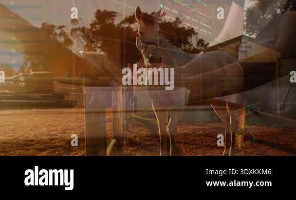Veterinary technician tapping tablet, monitoring horse health, faint ...