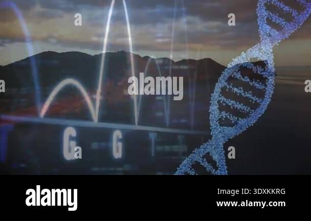 Starting chromatogram on island peaks shifting labels changing with DNA ...