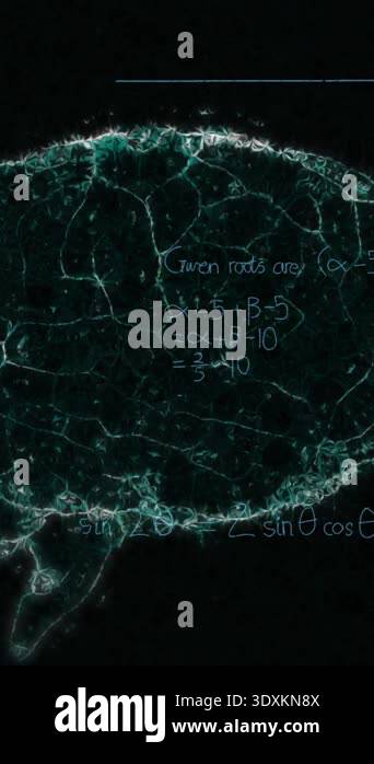 Animation of mathematical equations over digital model of human brain ...