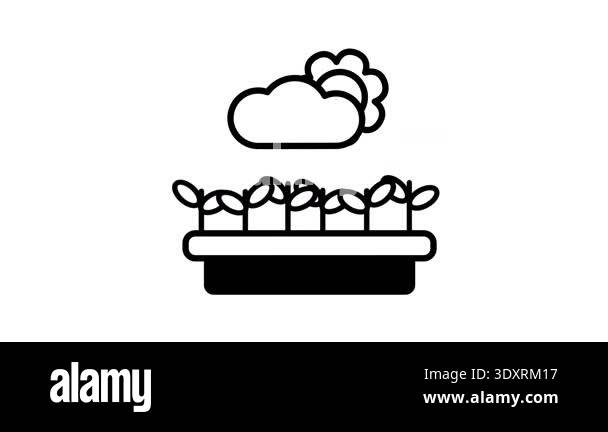 Small green sprouts grow inside a rectangular garden bed while a single ...
