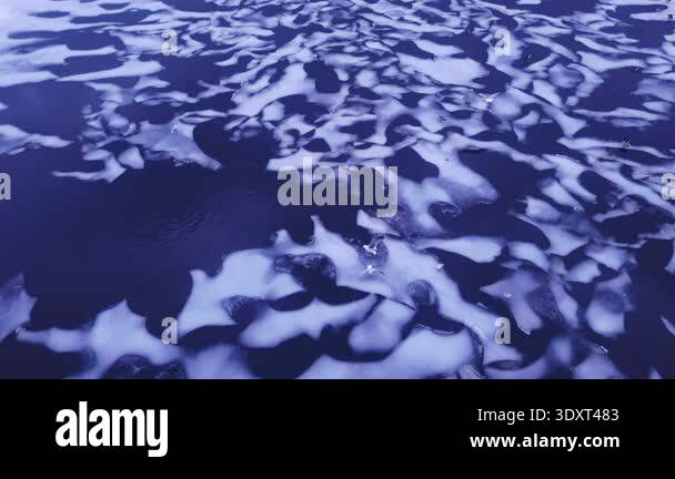 Cold blue water background with melting ice floes slowly drifting and ...